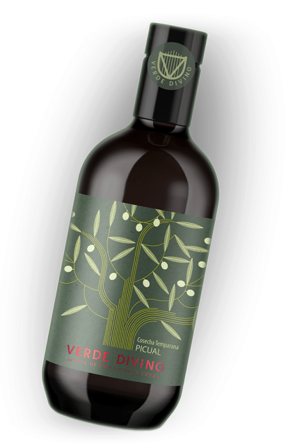 Picual oil, the predominant variety in Jaén - Verde Divino